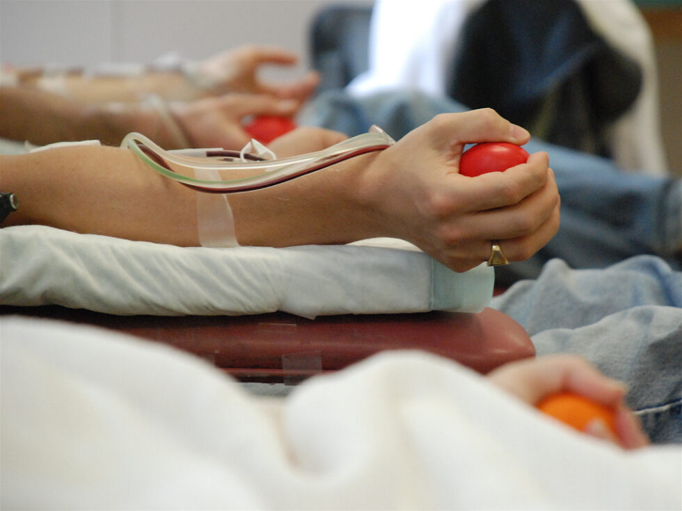 Organize A Workplace Blood Drive - Employee and Family Resources